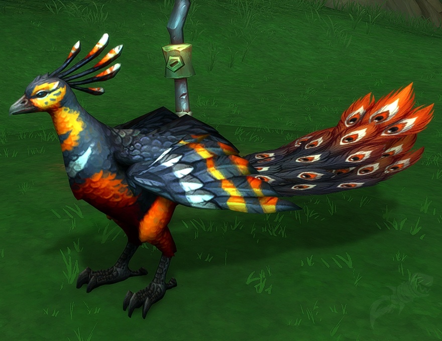 Blazefeather Peacock - NPC - World of Warcraft