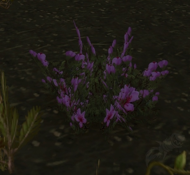 Mage royal - Entité - TBC Classic