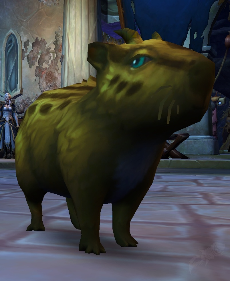 Snorf dorado - PNJ - World of Warcraft