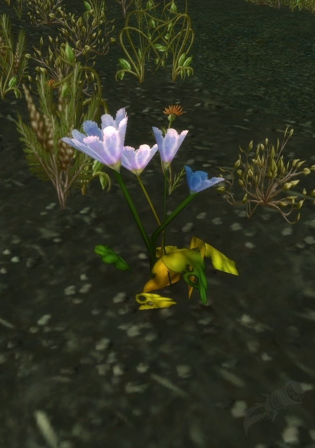Peacebloom - Object - WotLK Classic