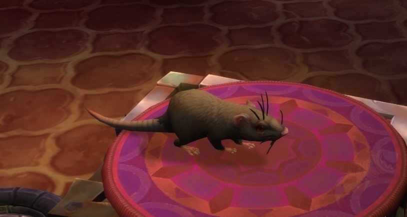 Most Gorgeous Rat You've Ever Seen - NPC - World of Warcraft