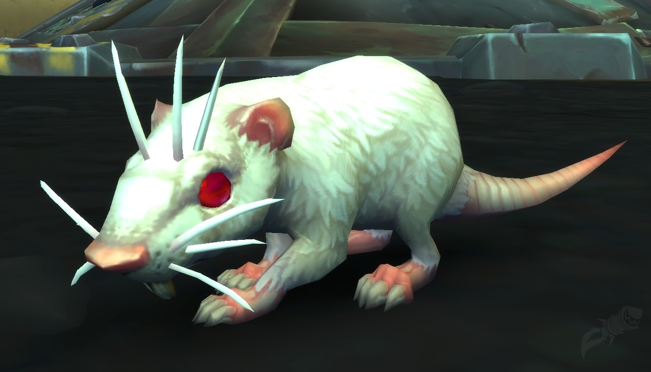 Rat de laboratoire - PNJ - World of Warcraft