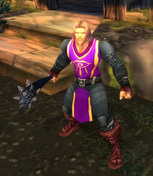 Dalaran Protector - NPC - TBC Classic