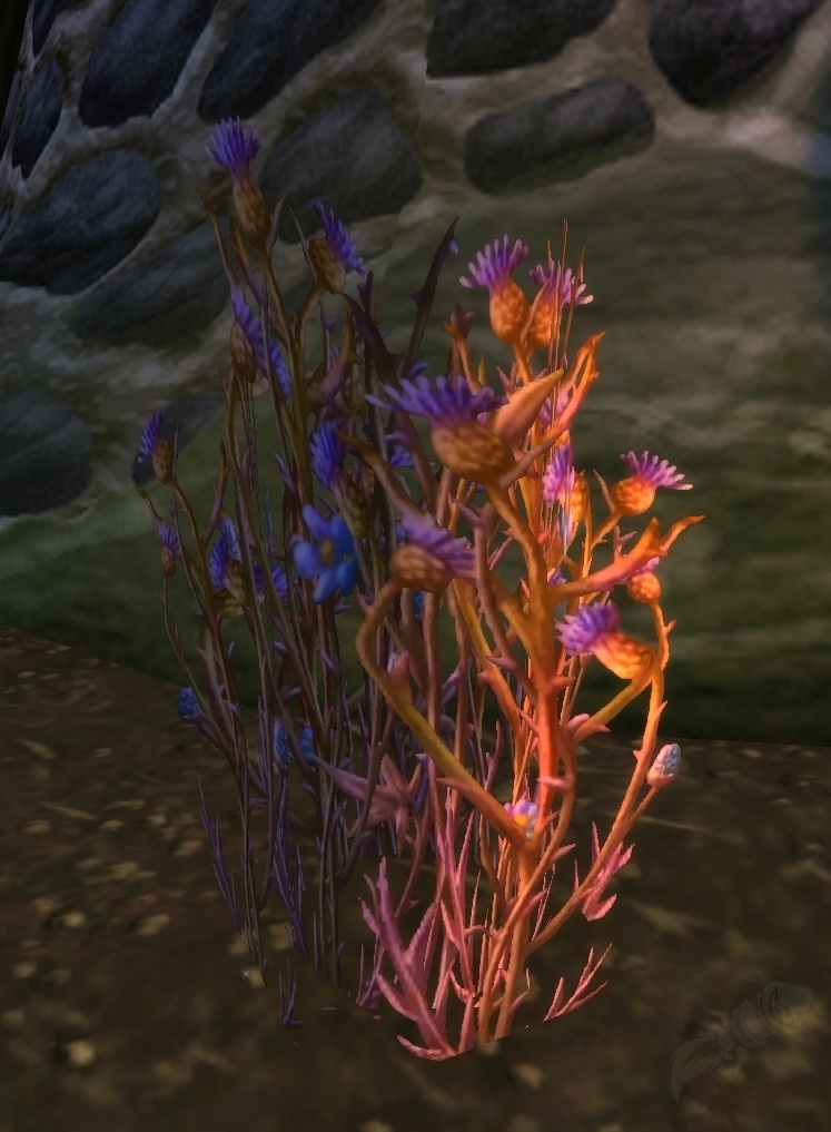 Bruiseweed - Object - Classic World of Warcraft