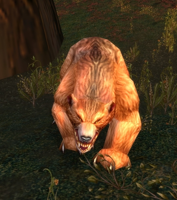 늙은곰 톱니이빨 - NPC - 월드 오브 워크래프트 오리지널