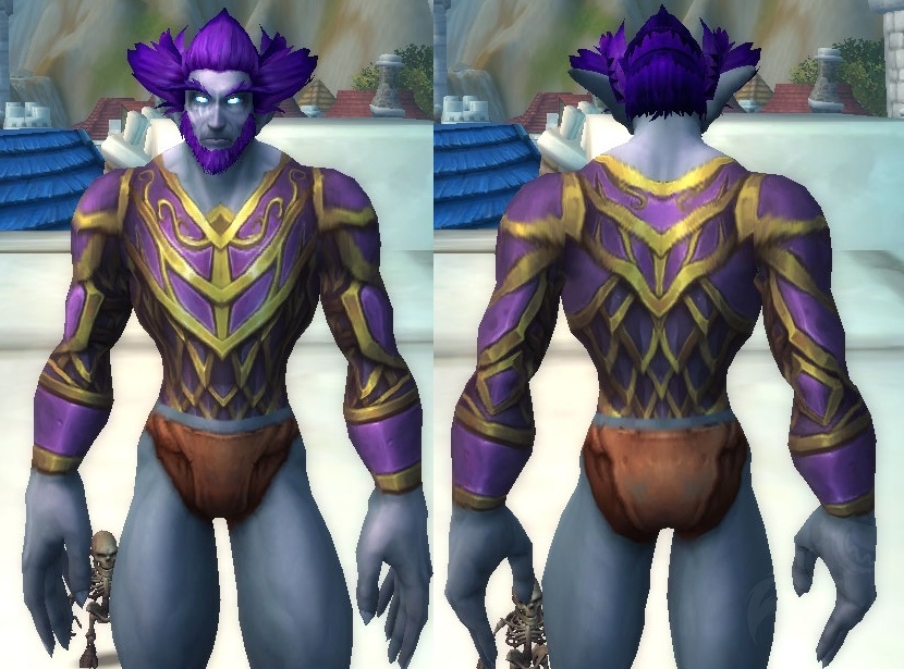Wardenguard's Chestplate - Item - World of Warcraft