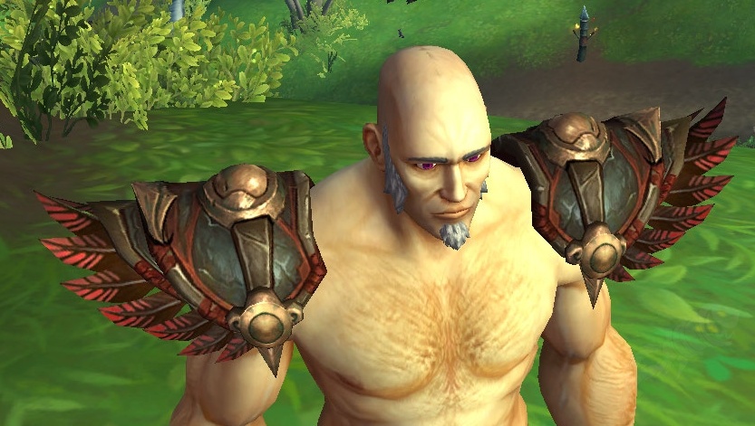 Ohn'ir Midnight Shoulderpads - Item - World of Warcraft