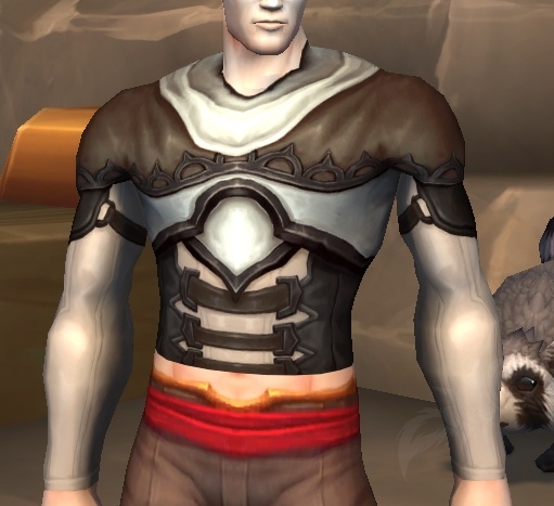 Sentry's Padded Doublet - Item - World of Warcraft