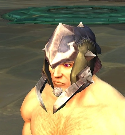 Heaume arctique - Sort - World of Warcraft