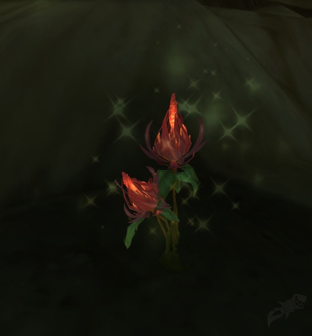 Cinderbud - Object - World of Warcraft