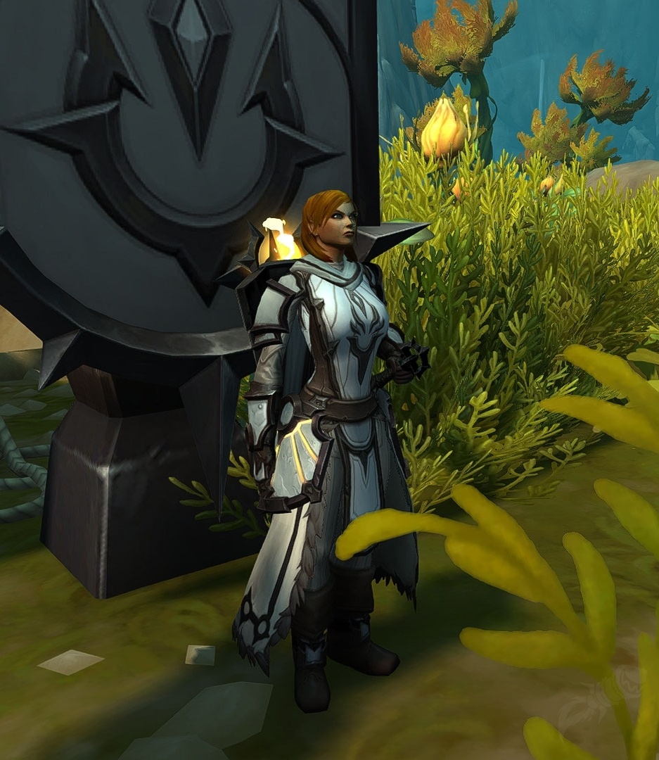 Raen Caballeralba - PNJ - World of Warcraft