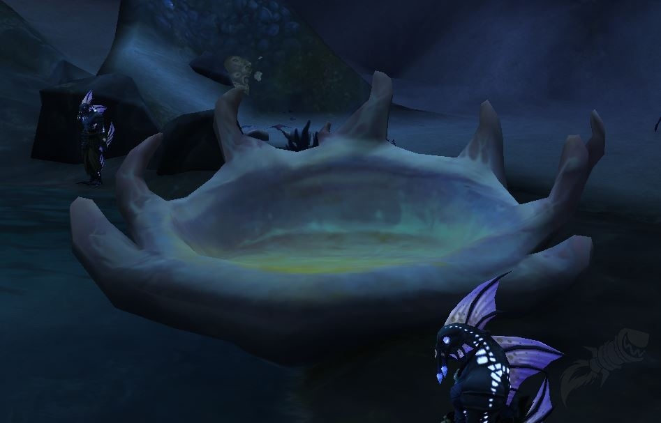 [Feeding Shell] - Entidad - World of Warcraft