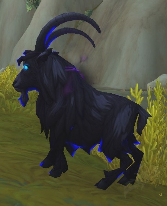 Bode Maléfico - PNJ - World of Warcraft