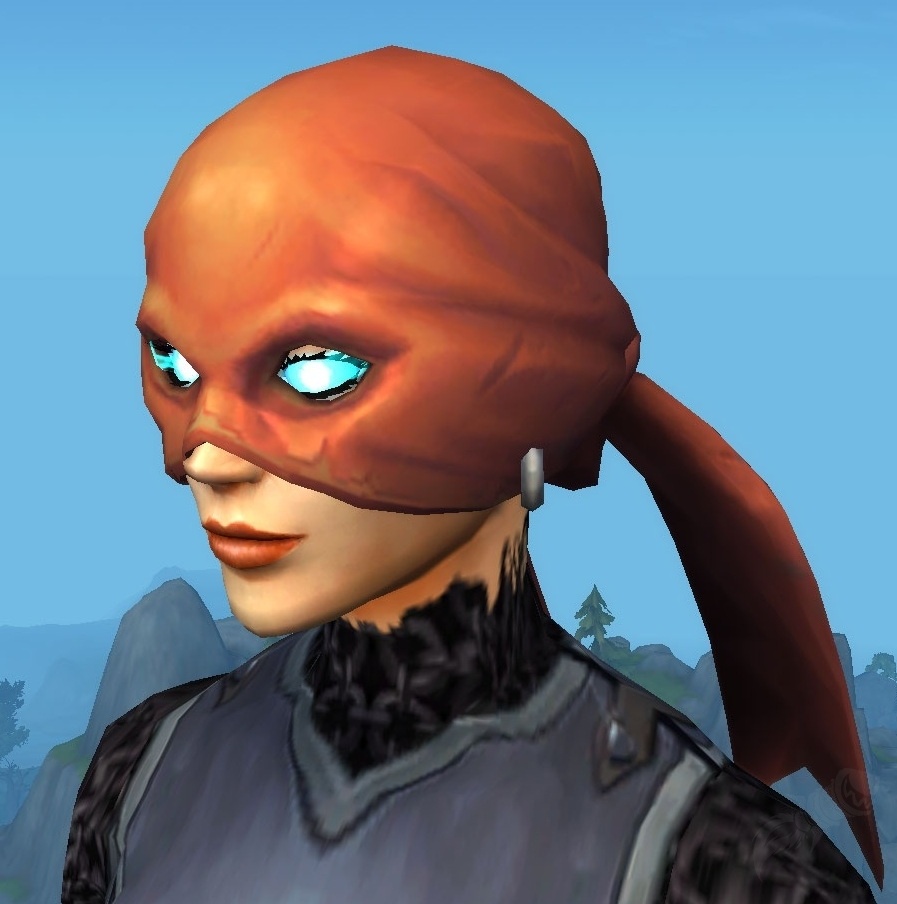 Vigilante's Brick Mask - Item - World of Warcraft