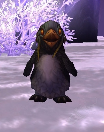 Pengu - Spell - WotLK Classic