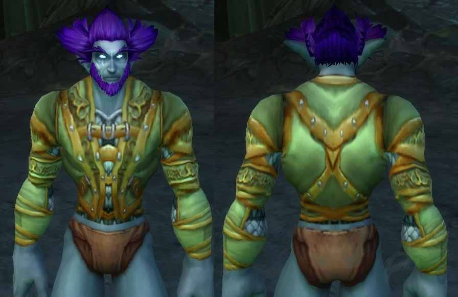 Malfurion's Blessed Bulwark - Item - World of Warcraft