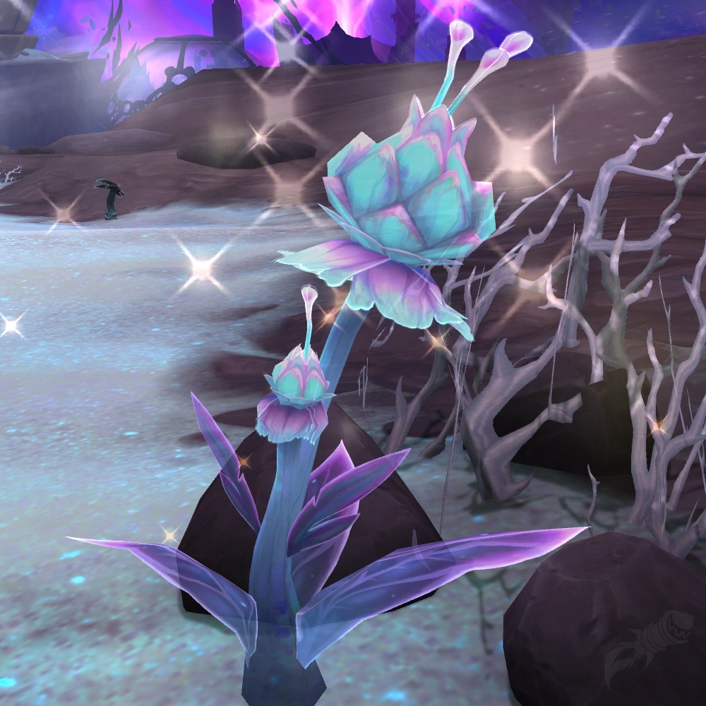 Phantom Bloom - Item - 11.2.7 PTR