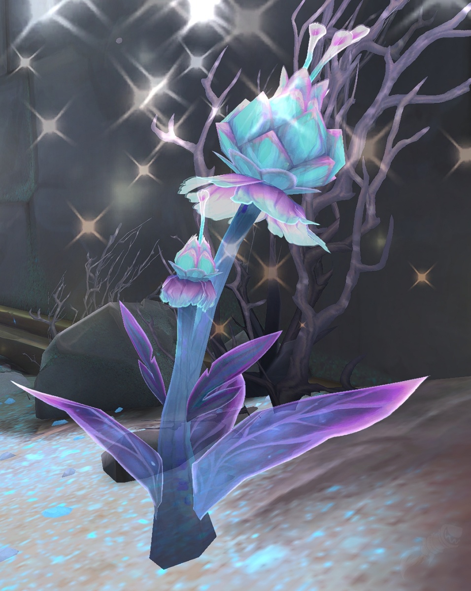 Phantom Bloom - Object - 11.2.7 PTR