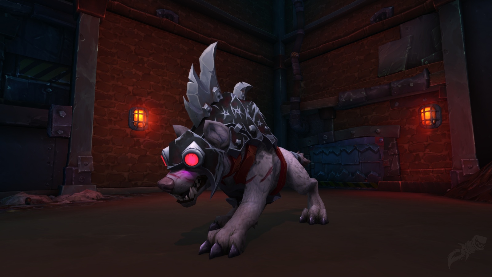 Durable Information Storage Container - Quest - World of Warcraft