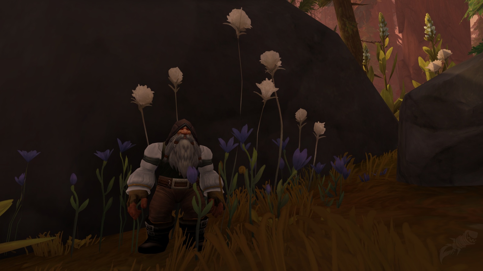 Hunting for a Good Author - Quest - 11.2.7 PTR