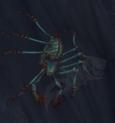 Corridor Trapspinner - NPC - World of Warcraft