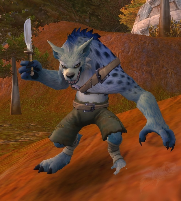 Shadowhide Assassin - NPC - World of Warcraft