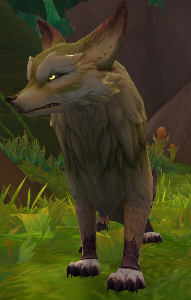 Thorntail Hunter - NPC - World of Warcraft