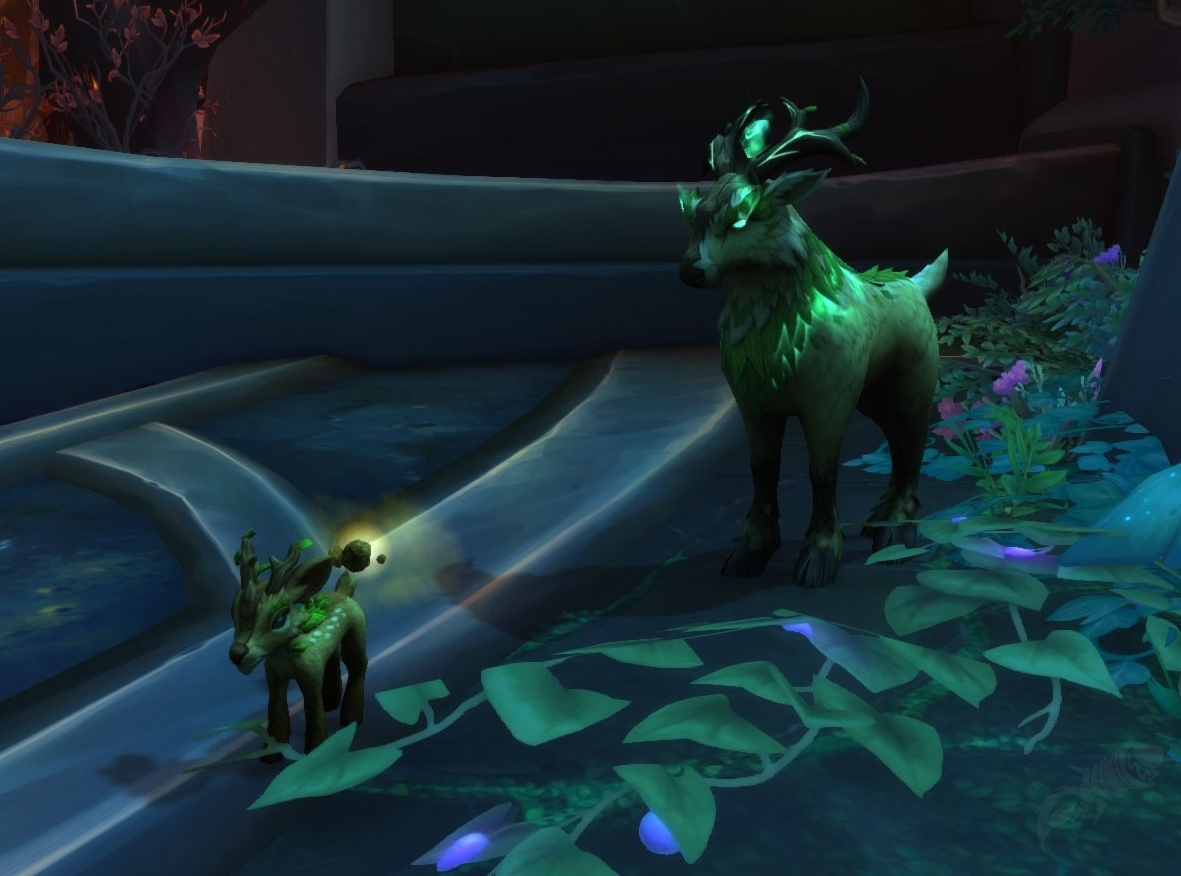 Bis wir uns wieder-reh-en - Erfolg - World of Warcraft