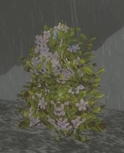 Wild Steelbloom - Item - Wrath Classic