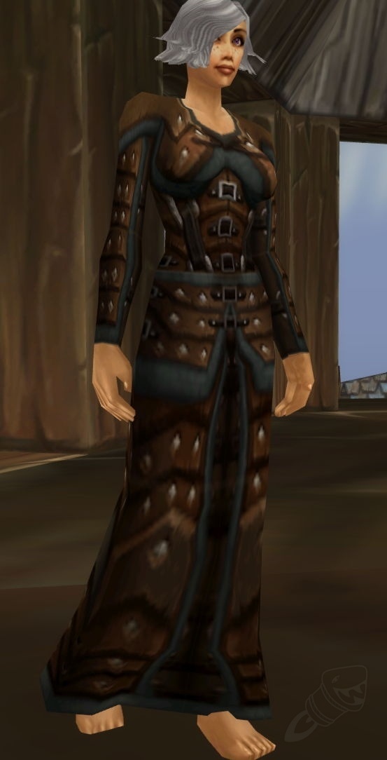 Insect Vestments - Item - World of Warcraft