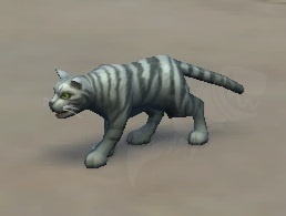 Gato - PNJ - World of Warcraft