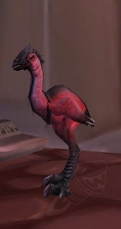 Mulgore Hatchling - Magia - WotLK classico