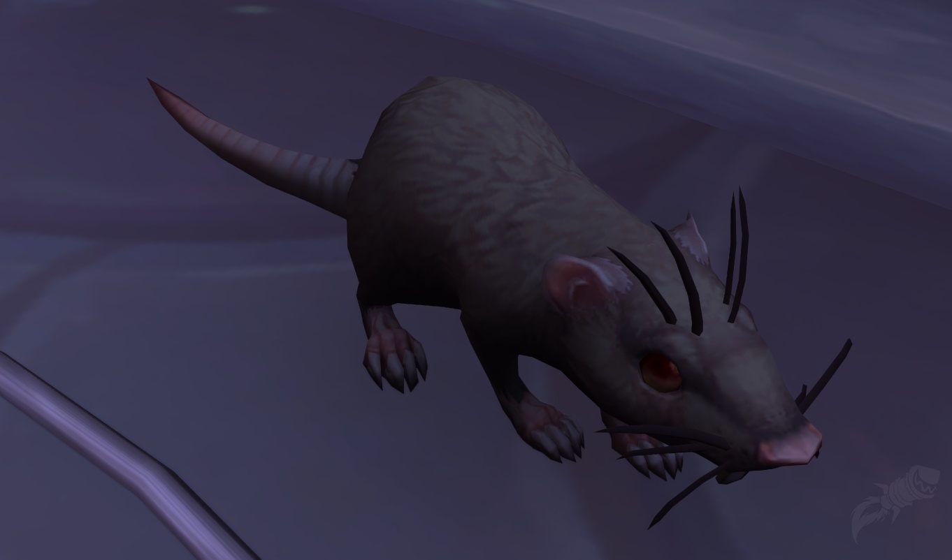 Row Rat - NPC - World of Warcraft