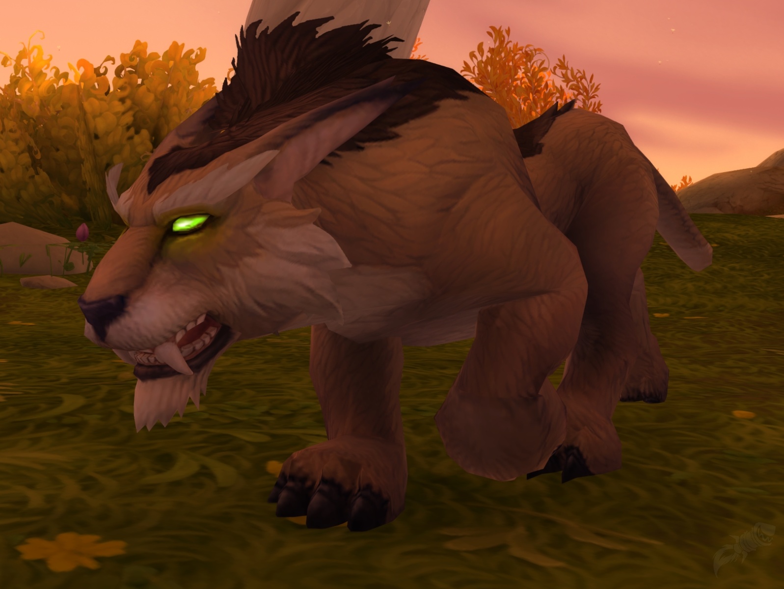 Hot-Headed Lynx - NPC - World of Warcraft