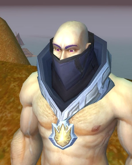 Conqueror's Cowl of Sanctification - Item - World of Warcraft