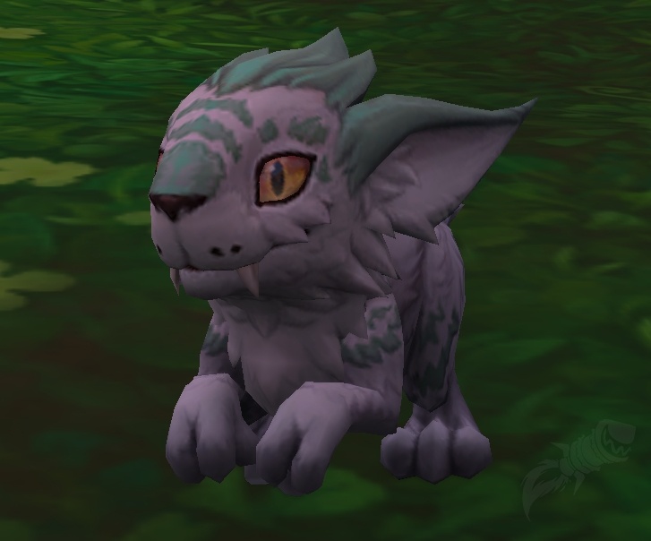 Dreamtalon Kit - NPC - World of Warcraft