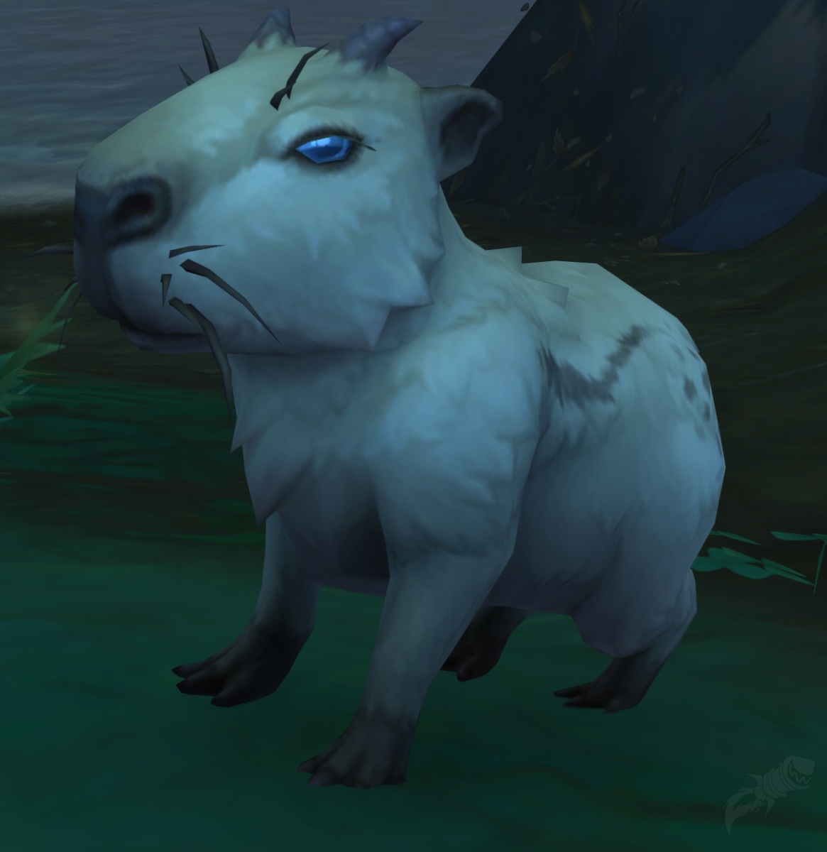 Acolyte Kapara - NPC - World of Warcraft