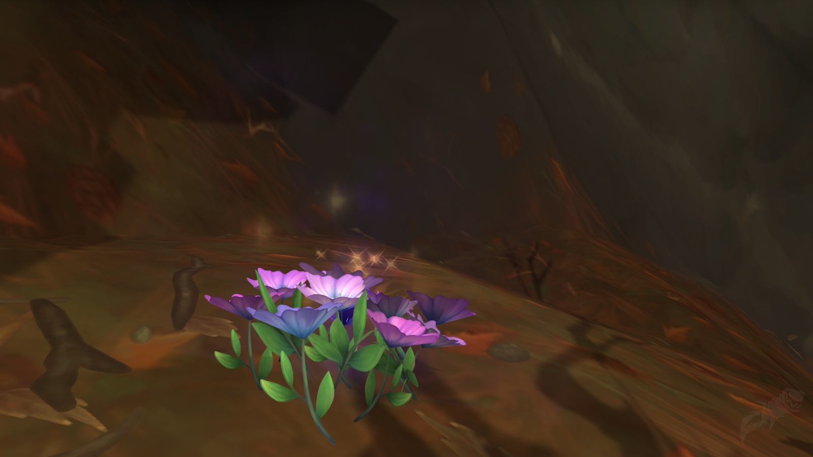 Homework Support - Quest - 12.0.7 PTR