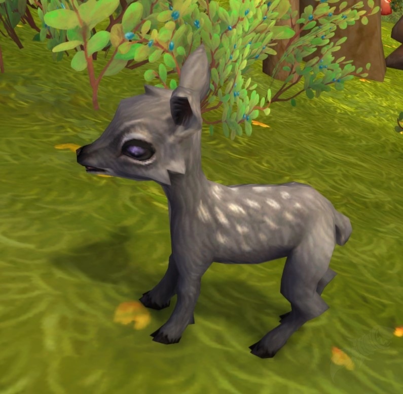 Fawn - NPC - World of Warcraft