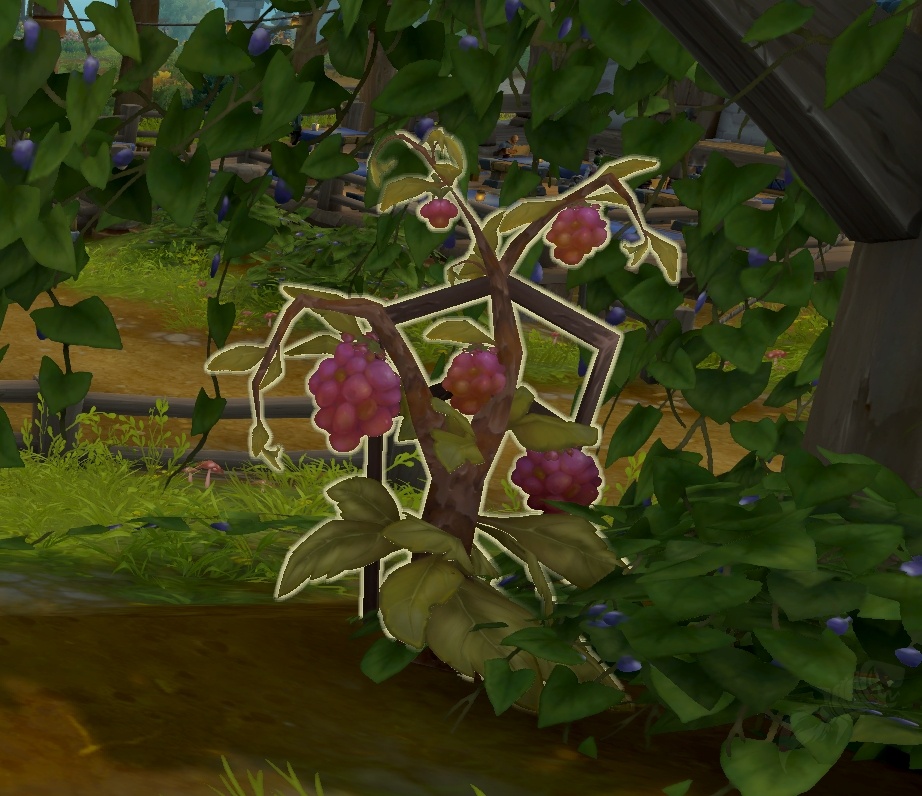 Ripe Grapes - Item - World of Warcraft