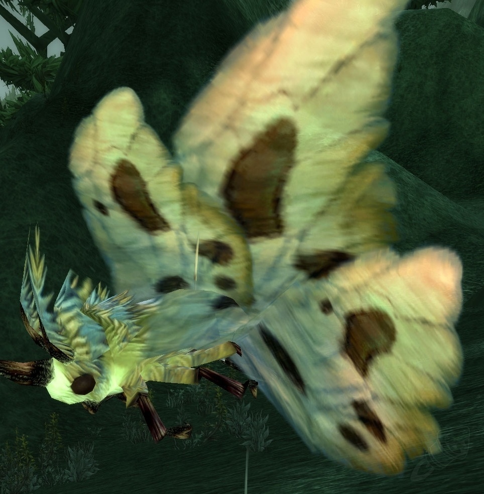 Teropolilla - PNJ - WotLK Clásico