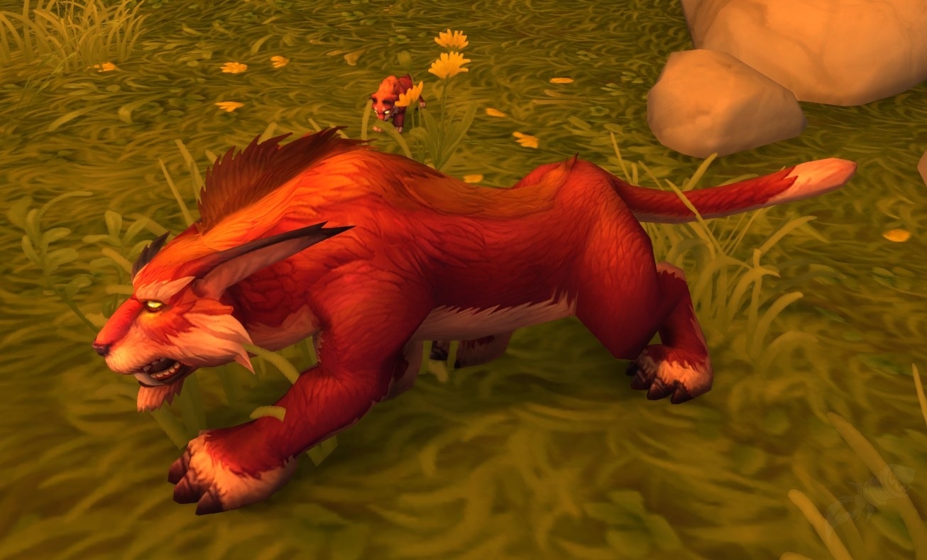 Springpaw Lynx - NPC - World of Warcraft