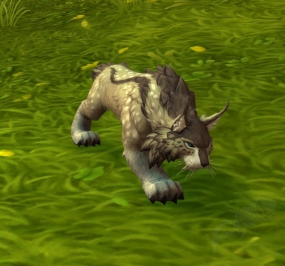 Bloodtrained Lynx - NPC - World of Warcraft