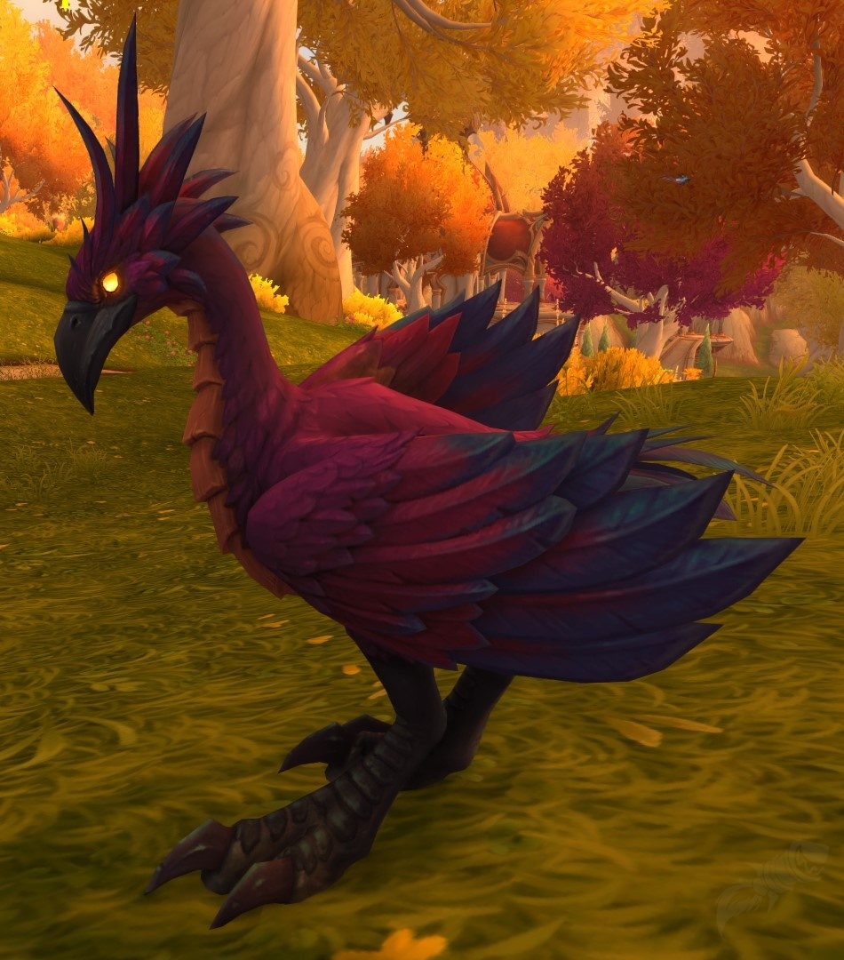 Resplendent Hawkstrider - NPC - World of Warcraft
