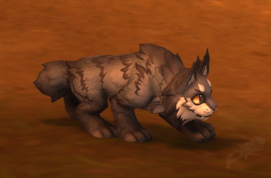 Lynx Cub - NPC - 12.0.1 Beta