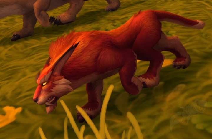 Juvenile Springpaw - NPC - World of Warcraft