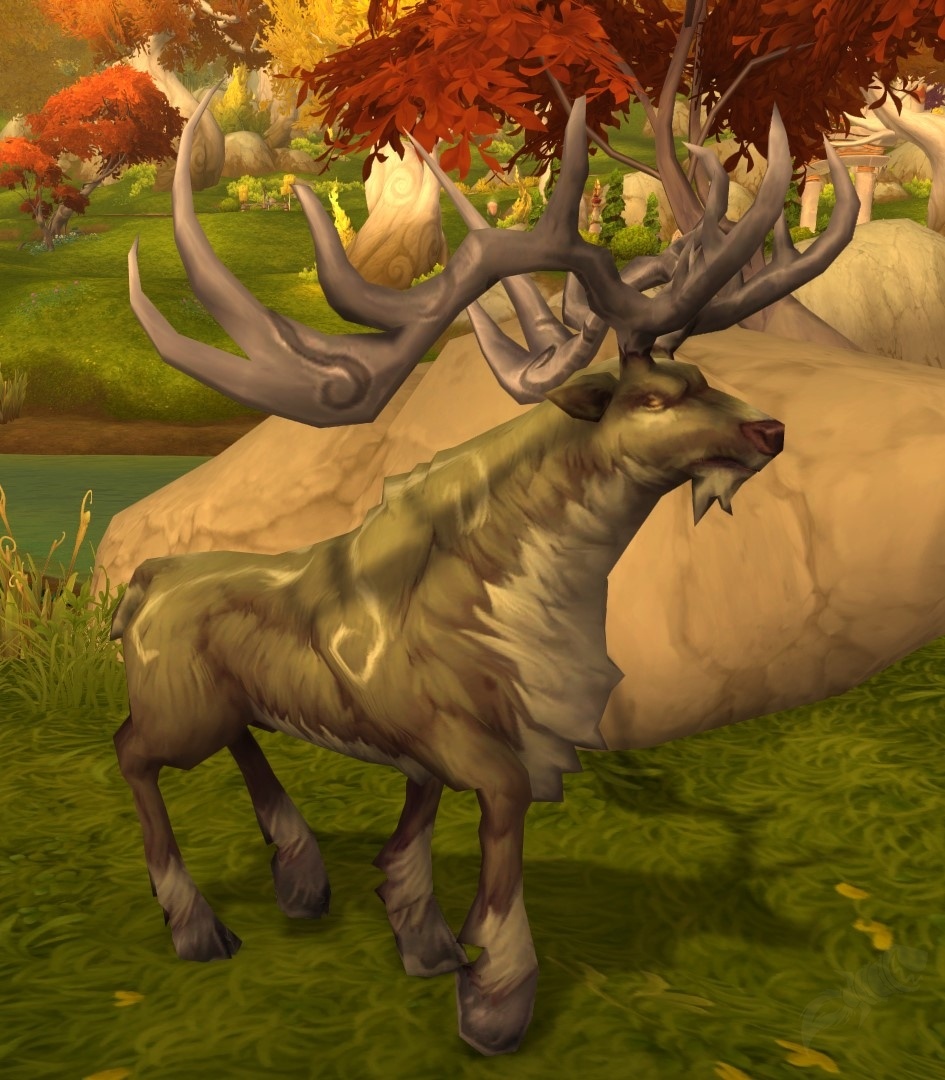 Sunset Stag - NPC - World of Warcraft