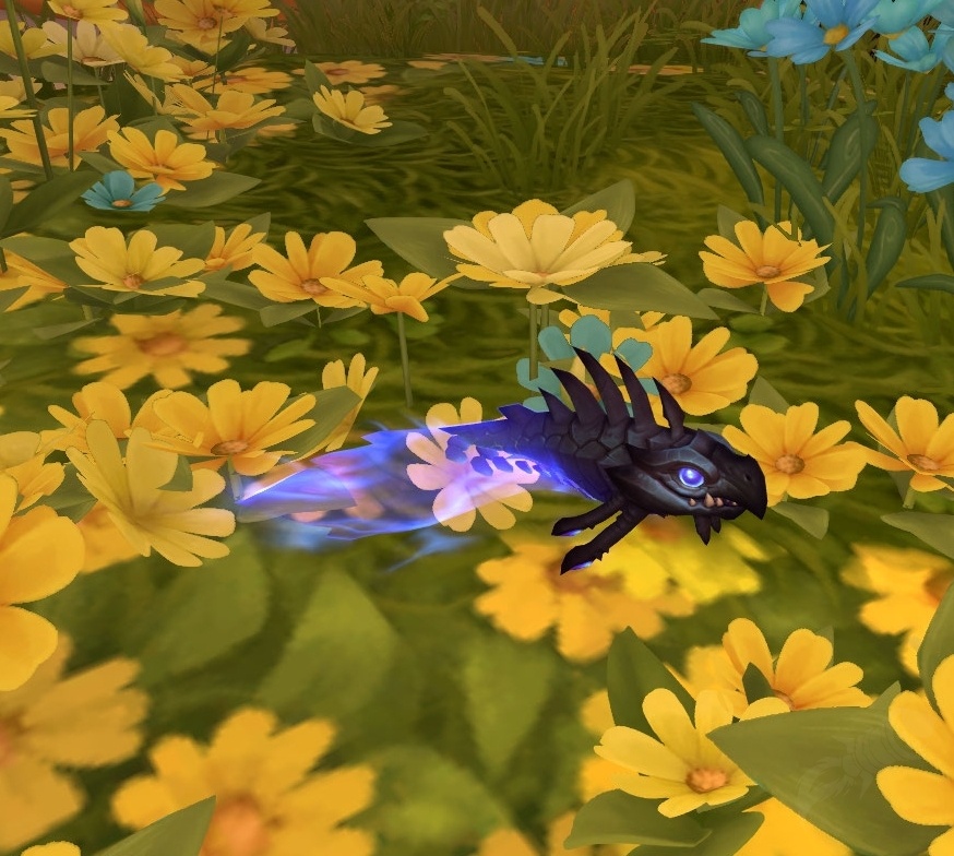 Riftblade Familiar - NPC - World of Warcraft