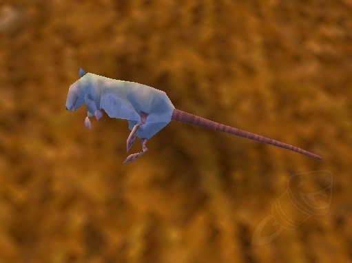 Maus - NPC - WotLK Classic