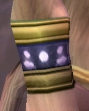 Feralheart Bracers - Item - WotLK Classic